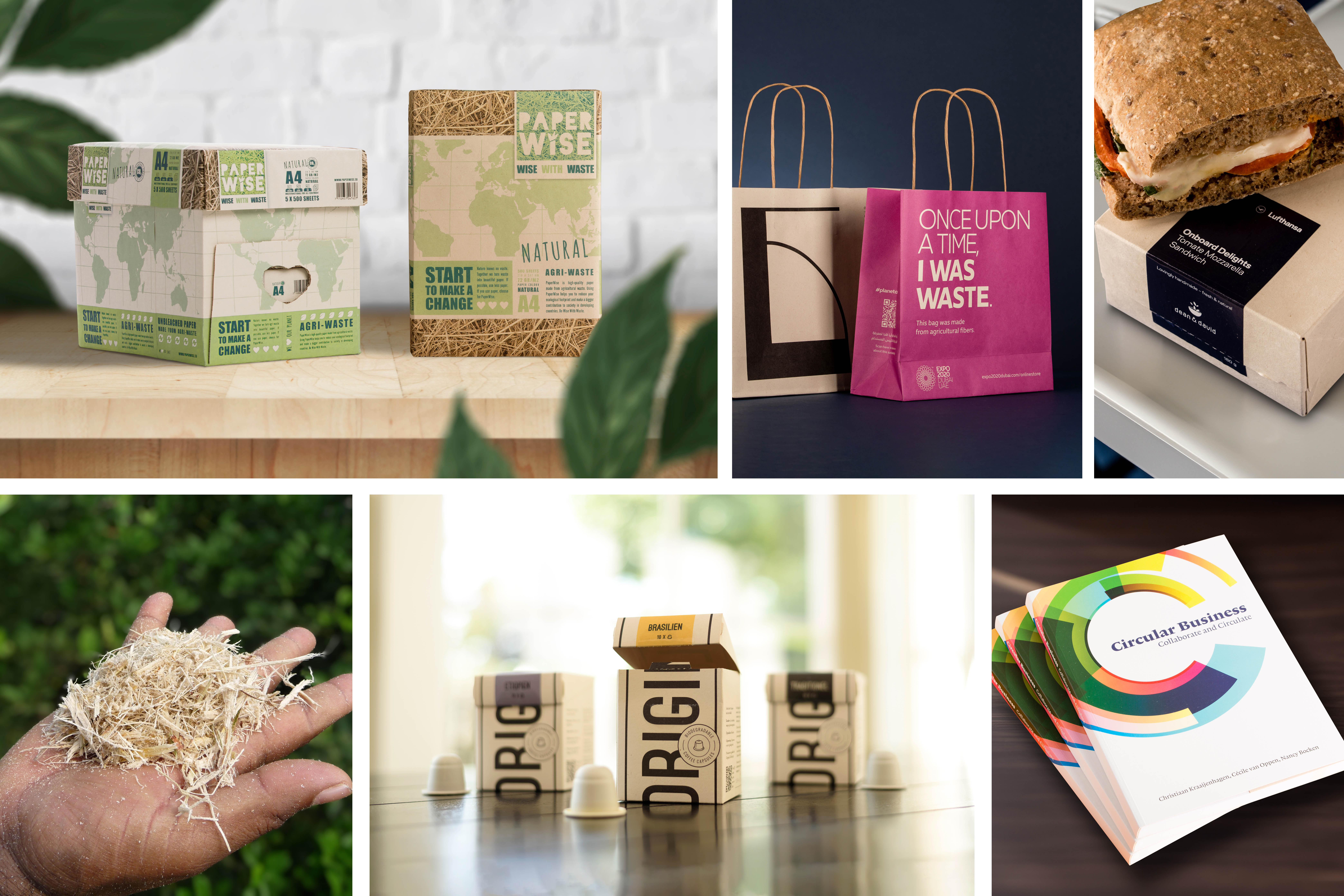 PaperWise feiert 10 Jahre: nachhaltige Meilensteine und Innovationen in ...