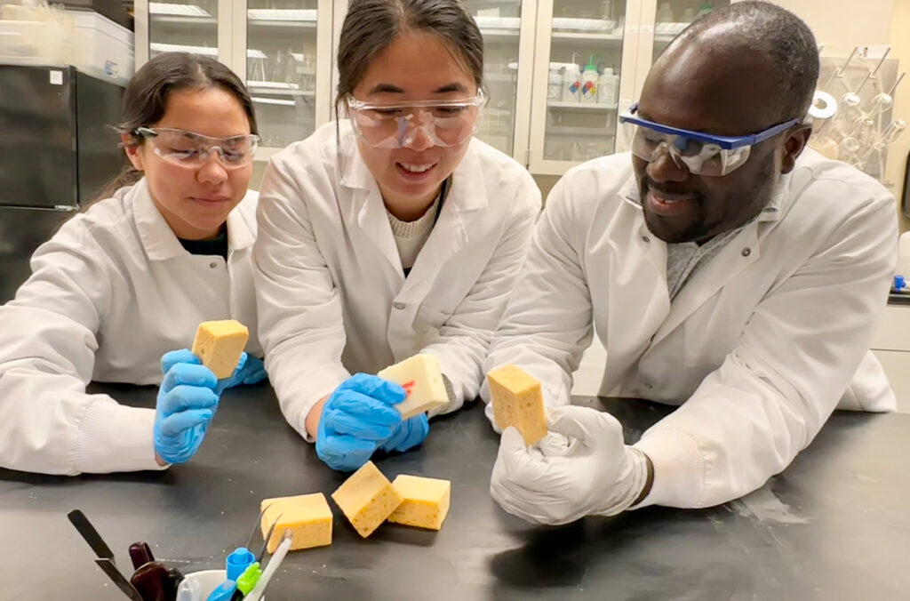 Plant-based substitute for fossil fuels developed for plastic foams ...
