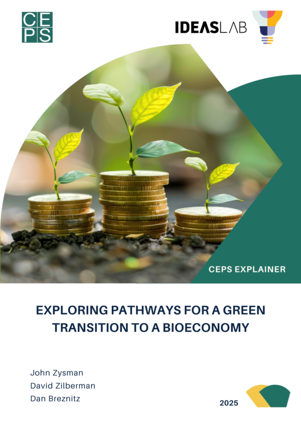 Exploring pathways for a green transition to a bioeconomy - Renewable Carbon News