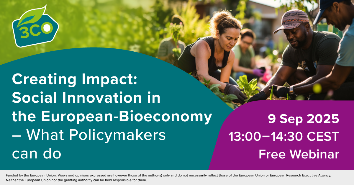 3-CO Webinar on Creating Impact: Social Innovation in the European ...