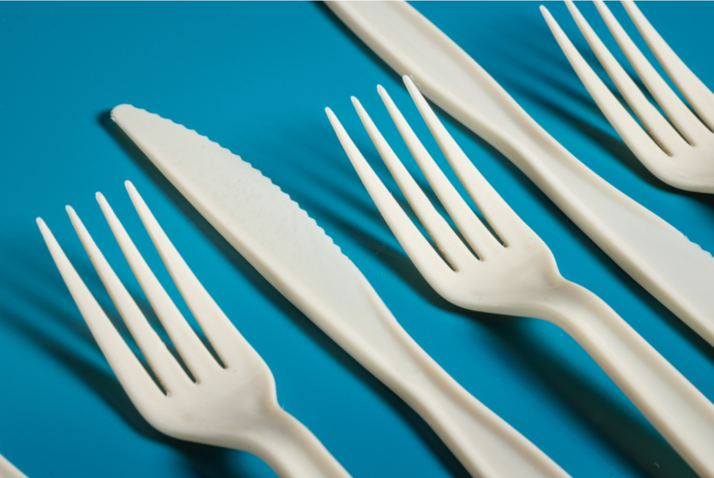 Brazil’s ERT Bioplastics creates compostables for US market using ...