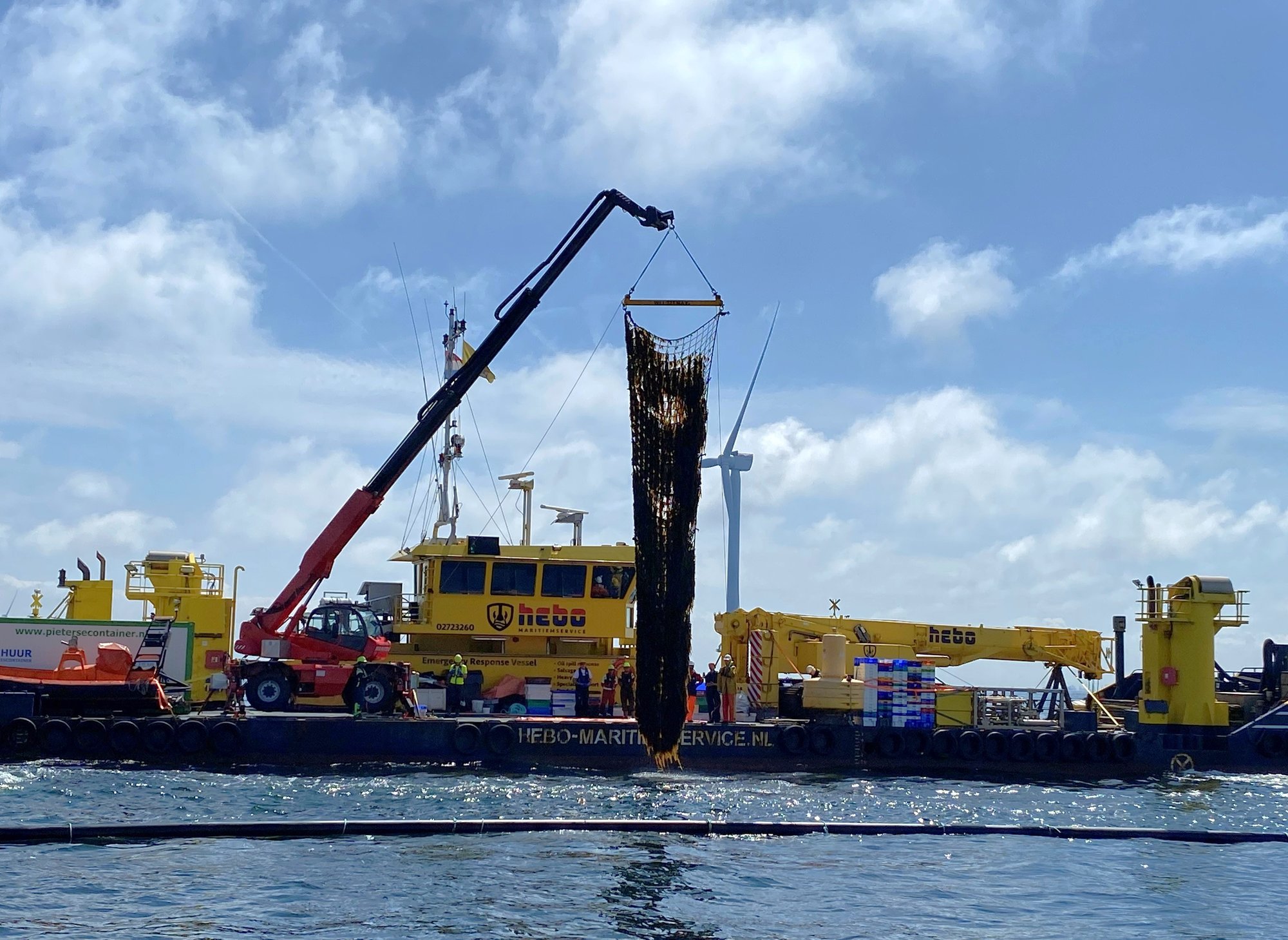First-ever Harvest at Pioneering North Sea Seaweed Farm, Funded by Amazon's Right Now Climate ...