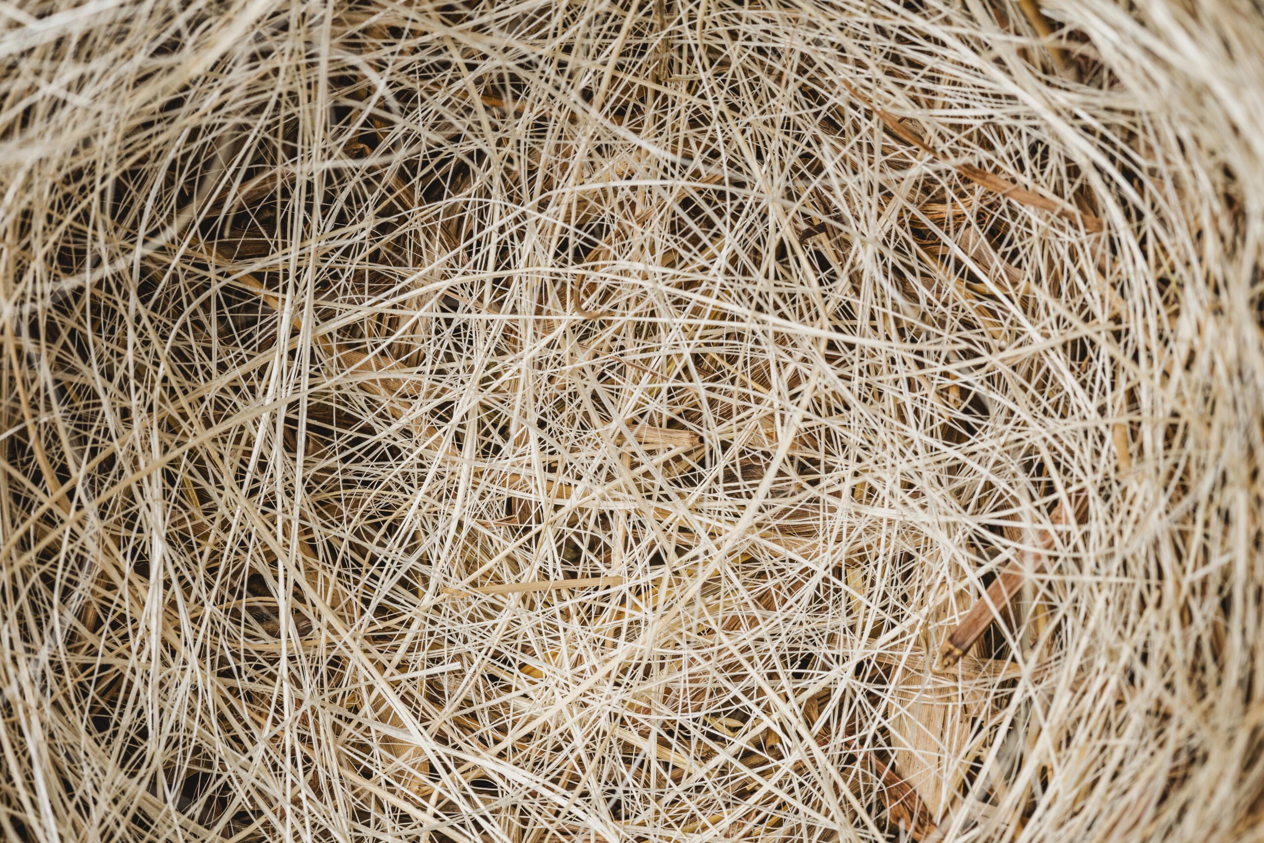 Hemp Fiber Market Set to Surpass Valuation of US$ 30.13 Billion By 2033 ...