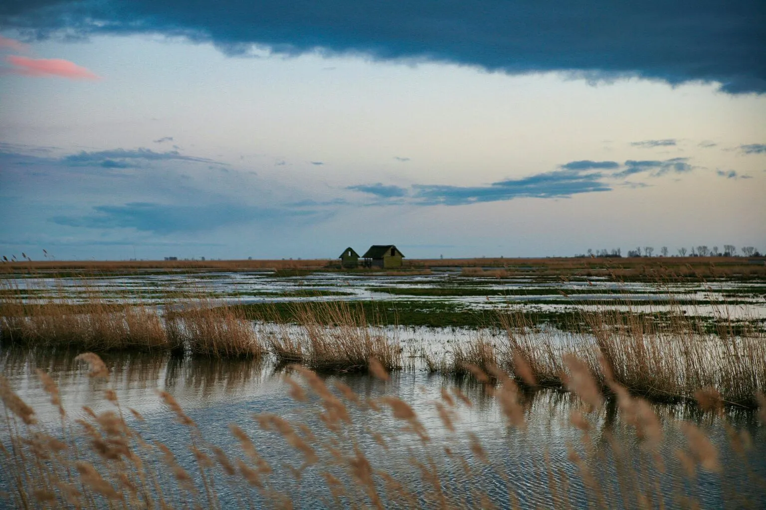 How bio-concrete and potato plastic are saving the Dutch wetlands ...