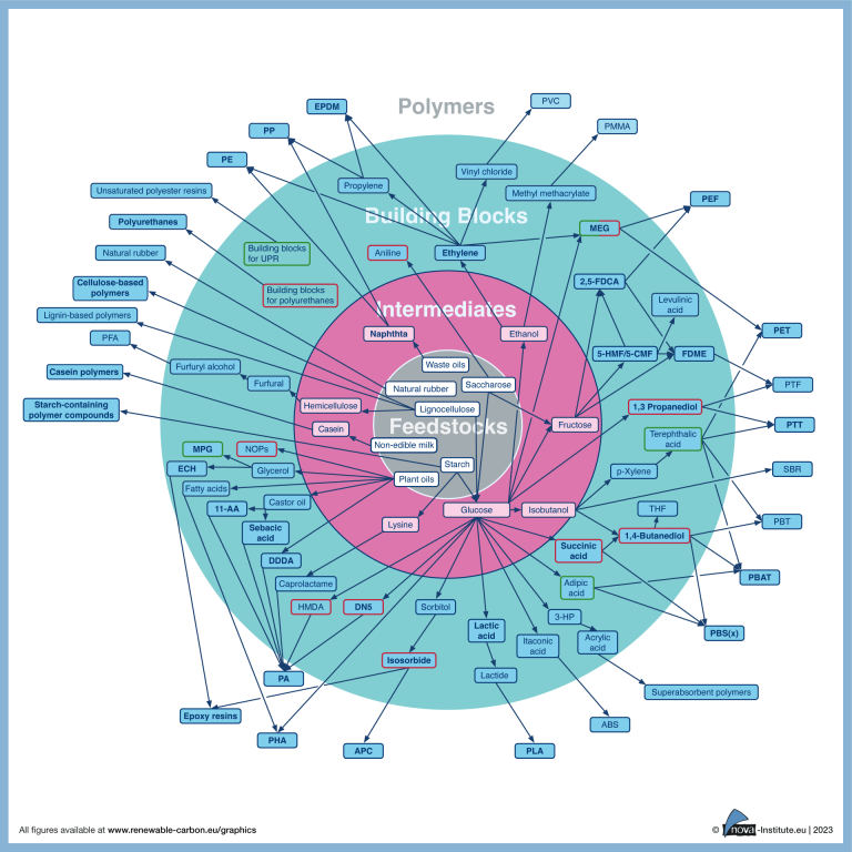 Pathways to bio-based polymers (PNG) | Renewable Carbon Publications