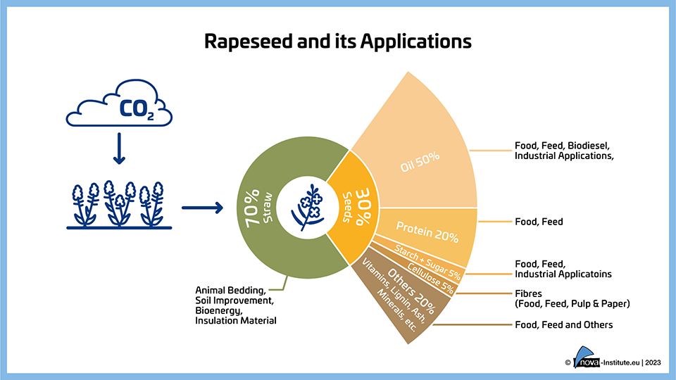 Rapeseed and its Applications (PNG) | Renewable Carbon Publications