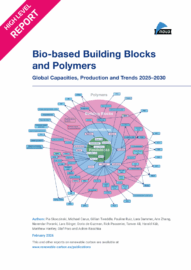 Bio-based Building Blocks and Polymers – Global Capacities, Production ...